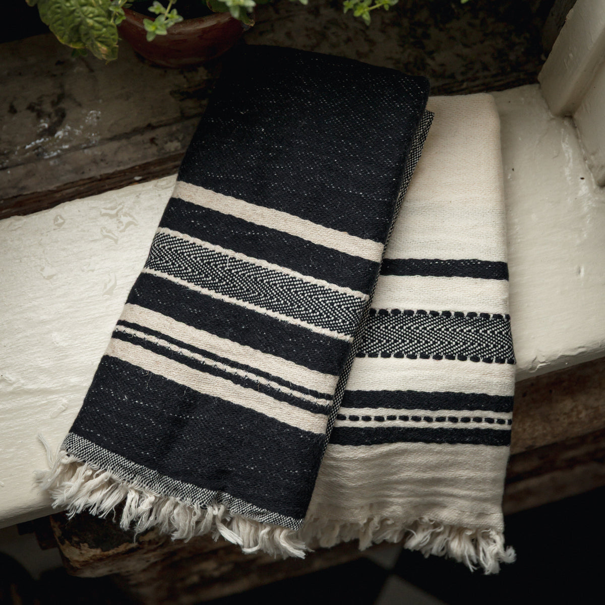 TOFINO TOWEL CO. + SUSIE WALL – Tofino Towel Co.